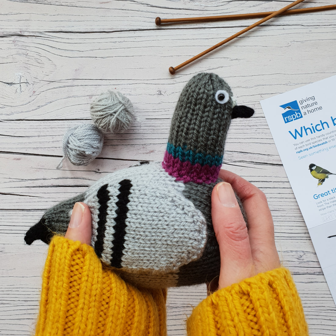 Bill the Pigeon knitting kit – Knitted Birds